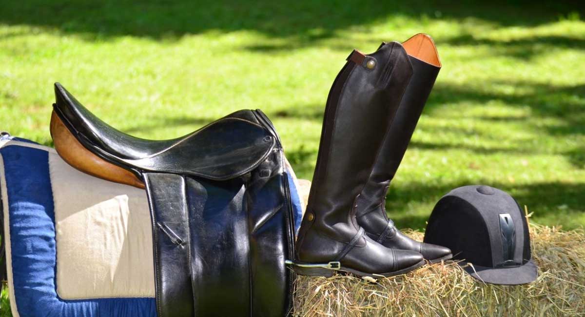 All You Need to Know About Horse Riding Equipment