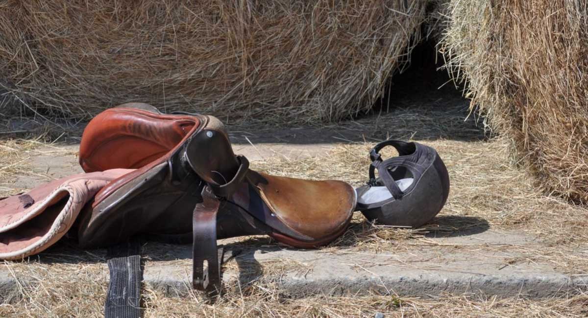 All You Need to Know About Horse Riding Equipment