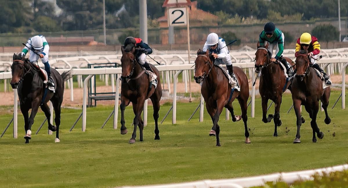 10 of the Biggest and Best Horse Racing Tracks in the World