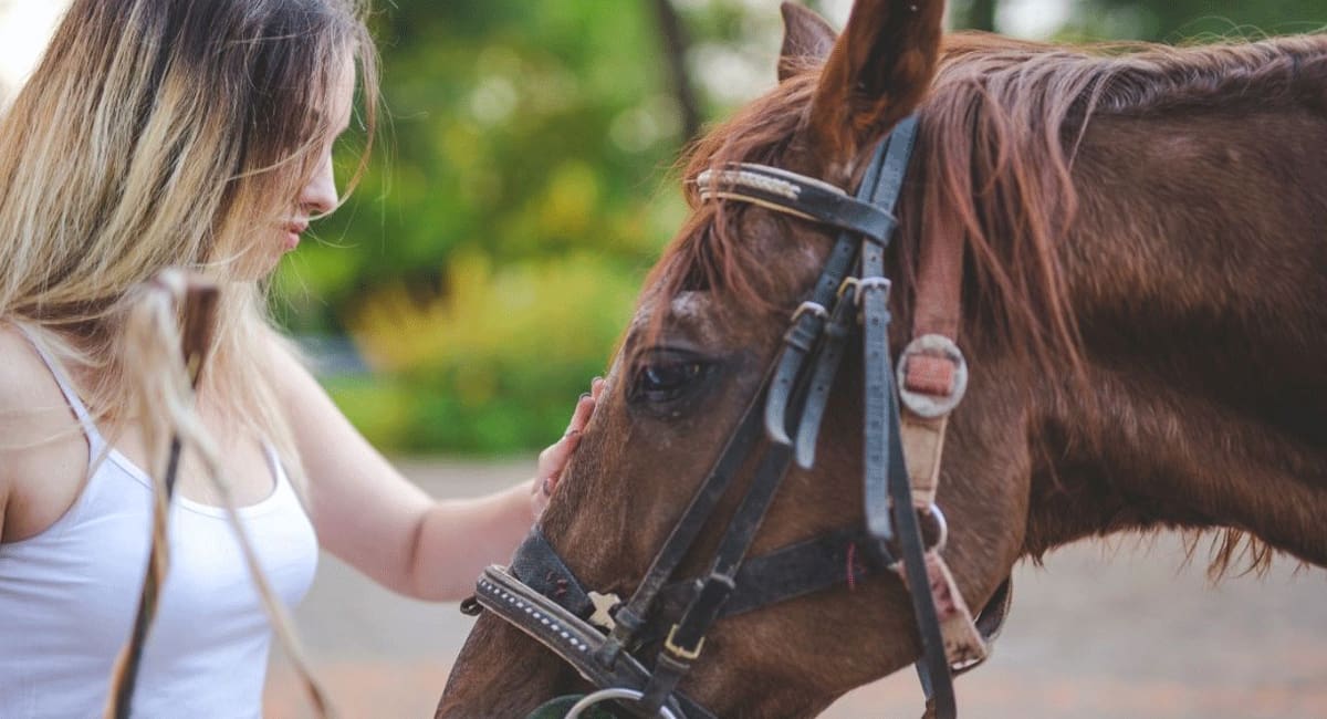 Horse Riding Tips: A Complete Guide
